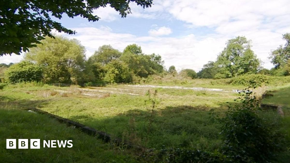 Itchen Stoke watercress beds dormant 'because of new laws' - BBC News