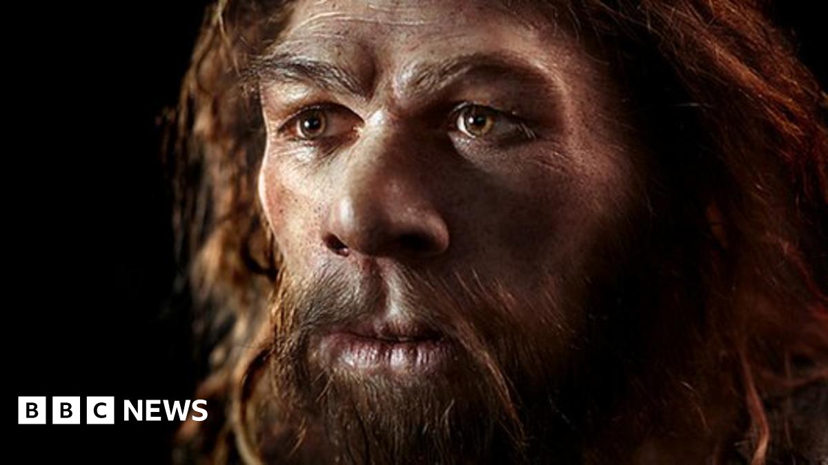New dates rewrite Neanderthal story - BBC News