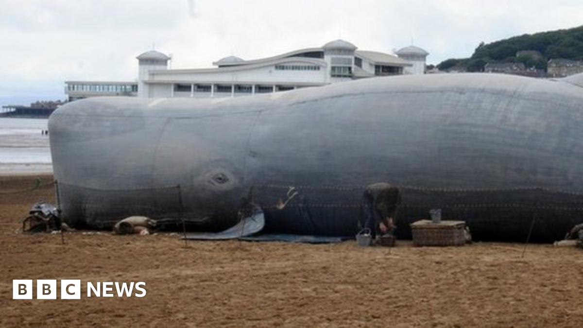 Banned Biblical whale inflated on beach in Weston-super-Mare - BBC News