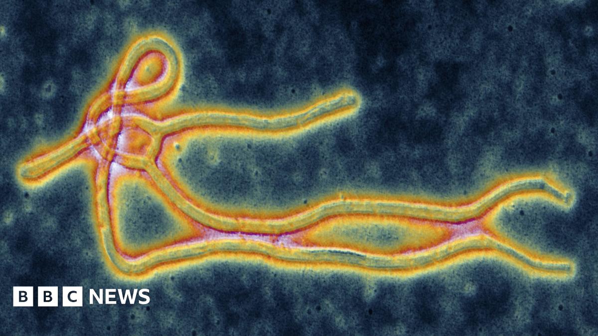 Ebola: Experimental drug ZMapp is '100% effective' in animal trials ...