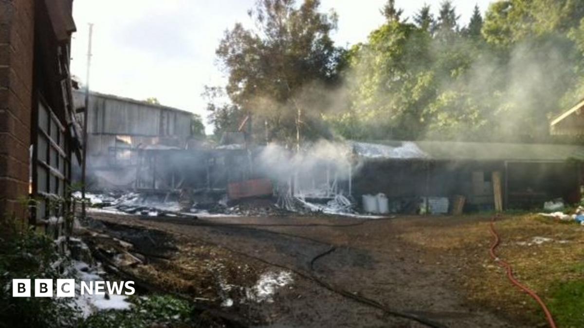 Fire-leaked fuel removed from River Culm - BBC News