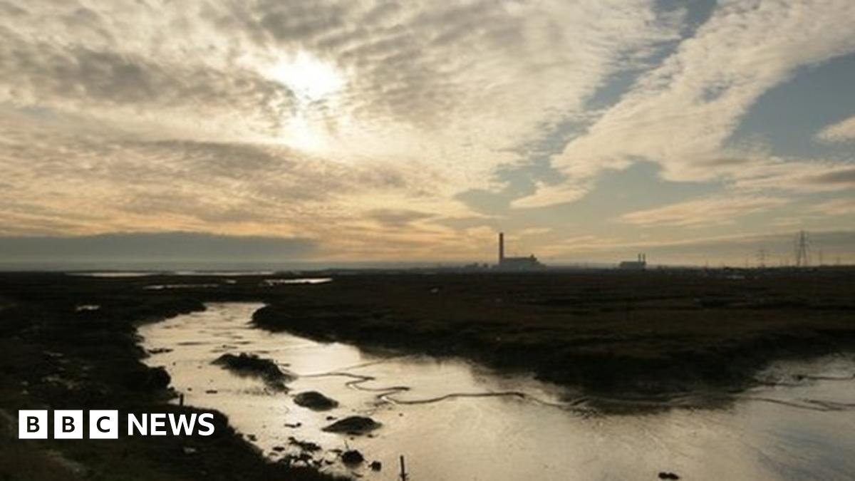 Reaction to Boris Island Thames Estuary airport rejection - BBC News