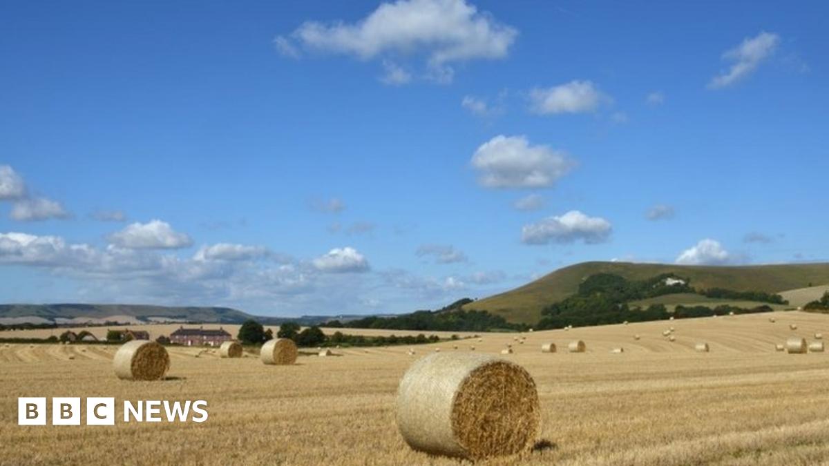 South Downs oil drilling refusal recommended - BBC News