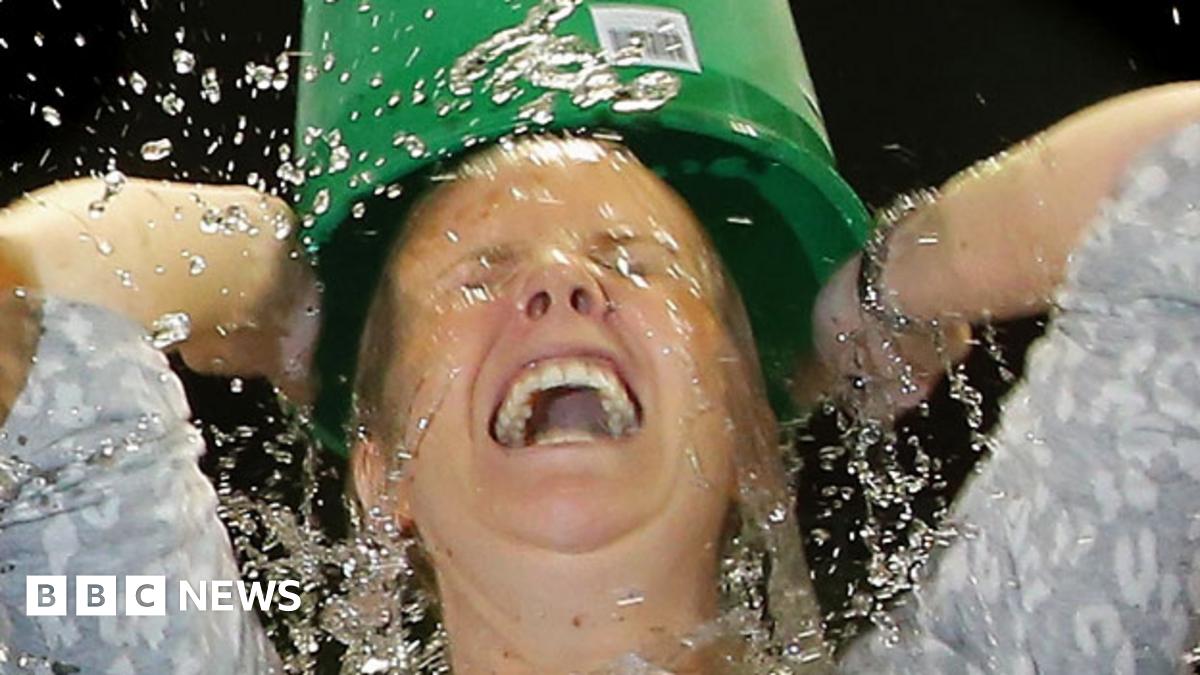 Icy logic: Choosing a charity with your head and your heart - BBC News