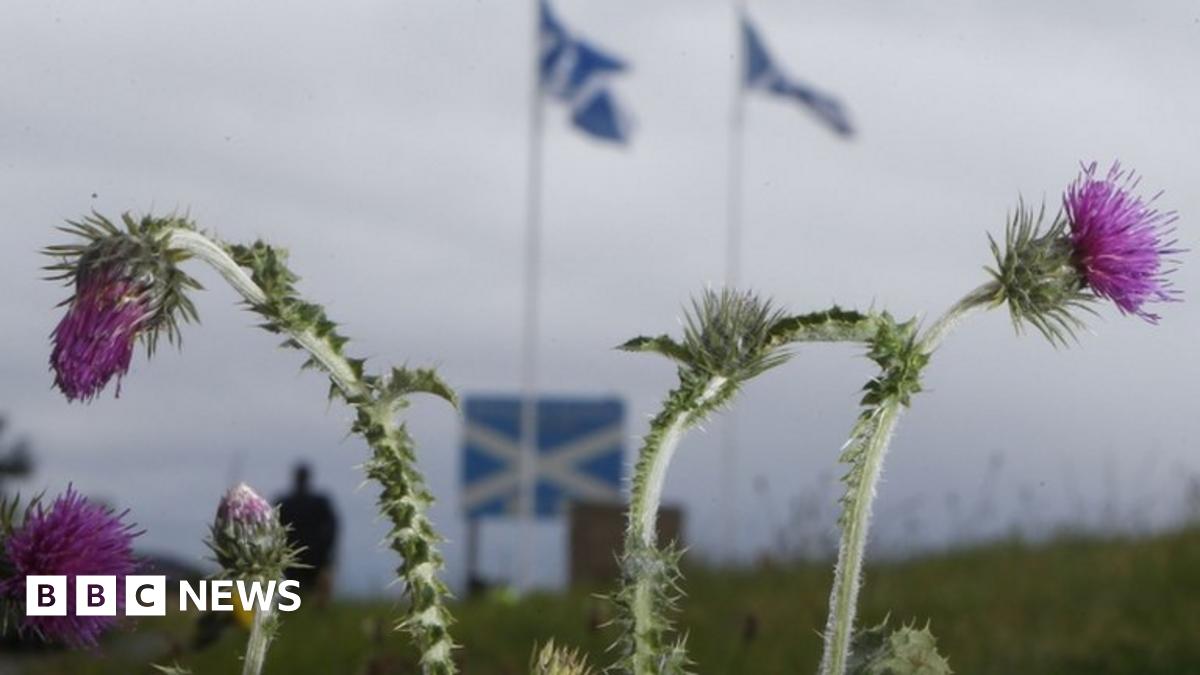 Scottish independence: Osborne's further powers plan 'not against ...