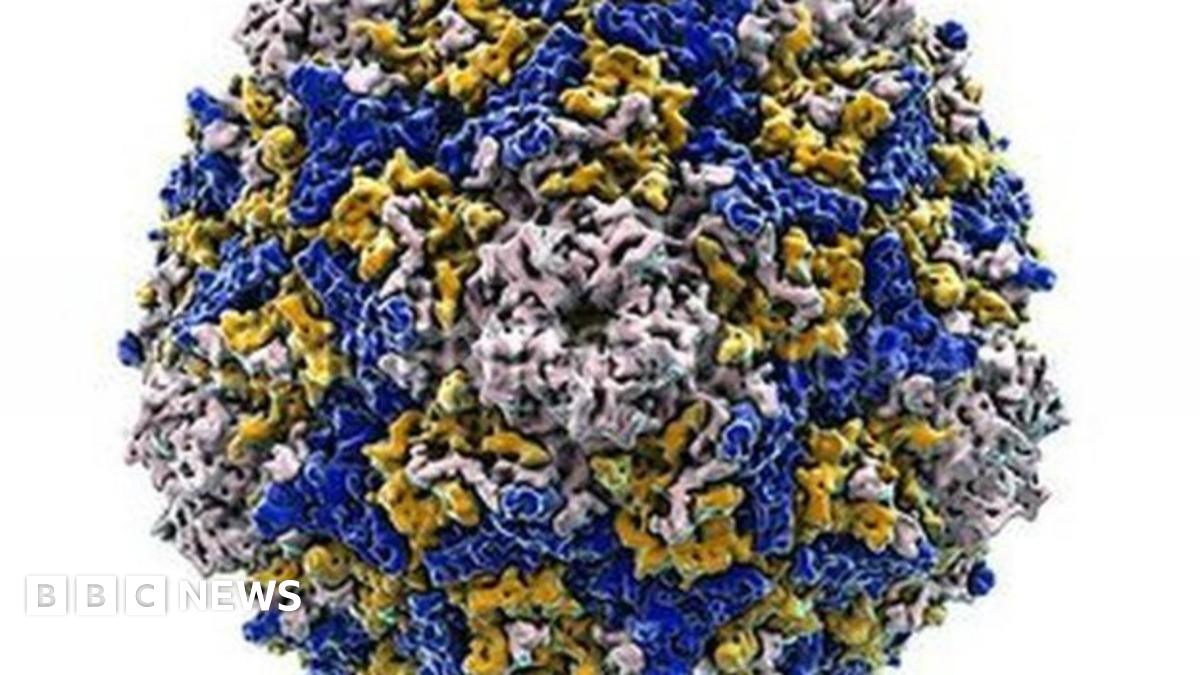 Hundreds of US children treated for respiratory virus - BBC News