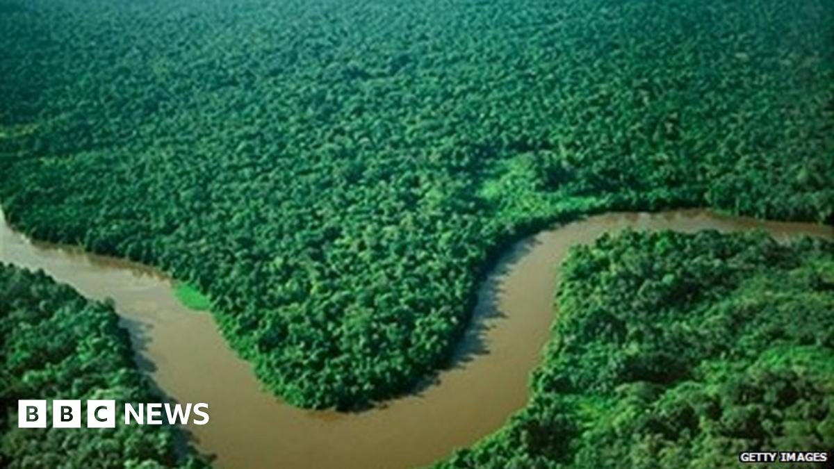 Brazil builds giant Amazon observation tower - BBC News