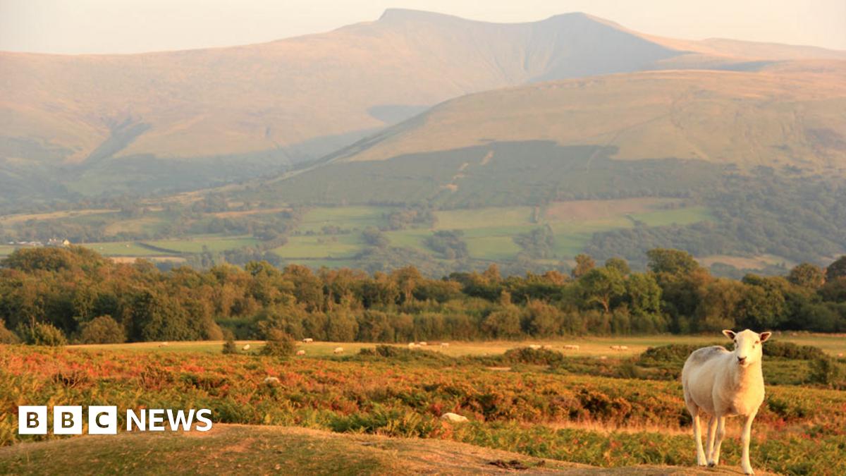 Your Pictures: Photos from Wales - BBC News