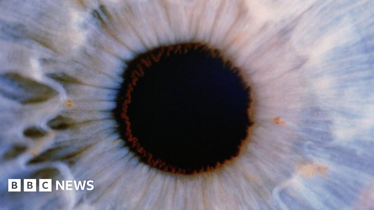 'Artificial retina' could detect sub-atomic particles - BBC News