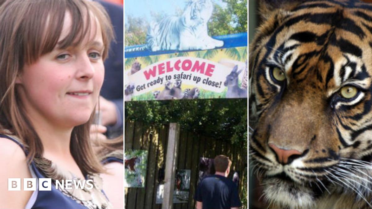 Tiger maul victim's brother talks of "haunting terror" - BBC News
