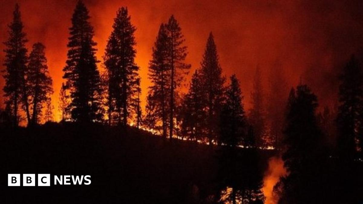 California wildfire doubles in size overnight - BBC News