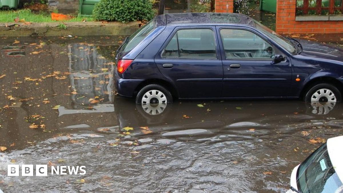 Your week in pictures - BBC News