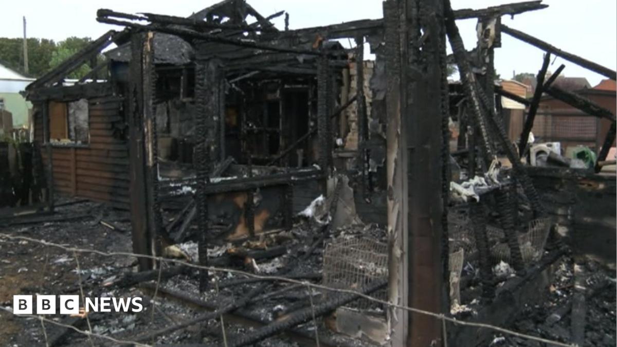 Hornsea house fire leaves 20 dogs dead - BBC News