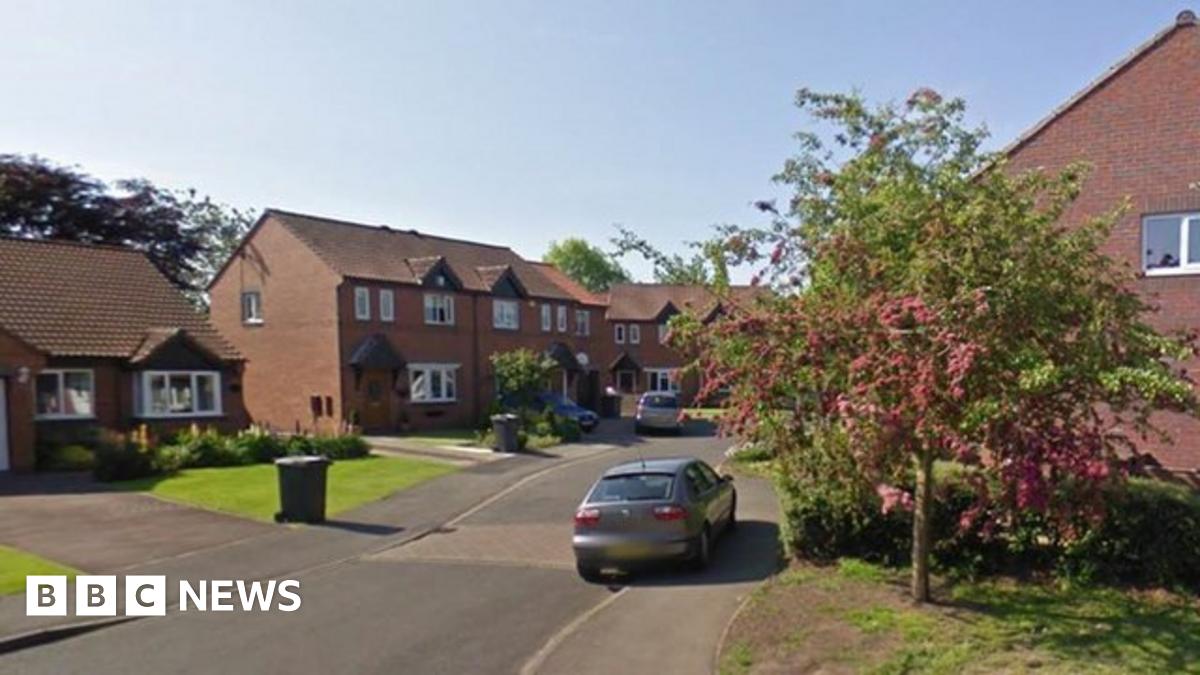 American bulldog attack: Victim's head dragged along in dogs' mouths ...