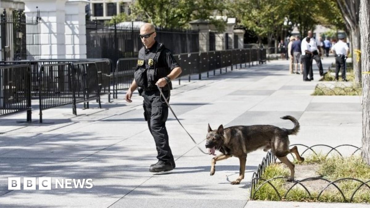Secret Service erects new White House fence after breach - BBC News