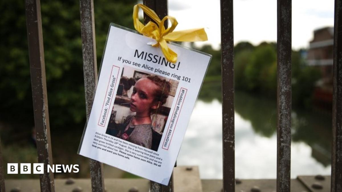 Missing for a month: Alice Gross, but who are the others? - BBC News