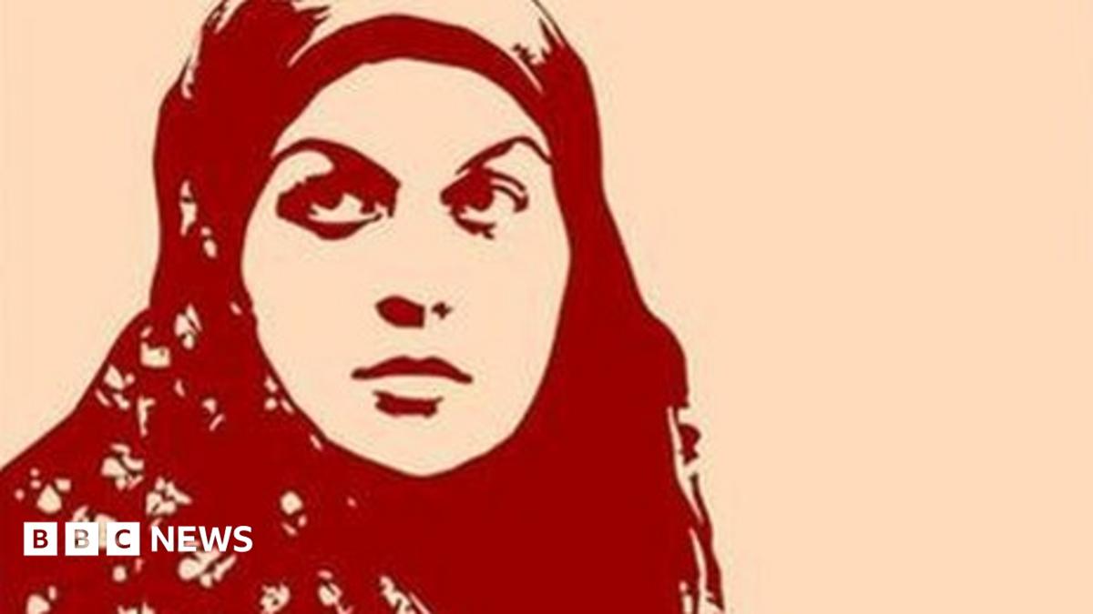 Iran 'delays' Reyhaneh Jabbari execution after campaign - BBC News