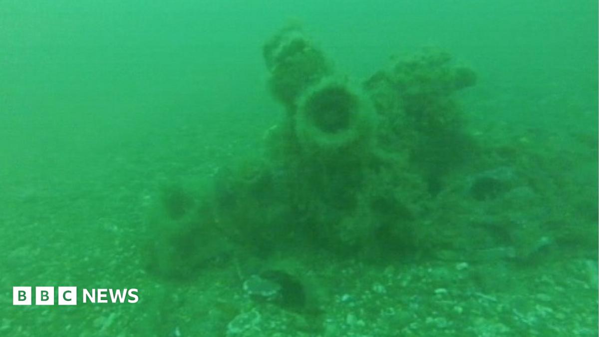 Mystery of World War Two 'flying boat' wreck - BBC News