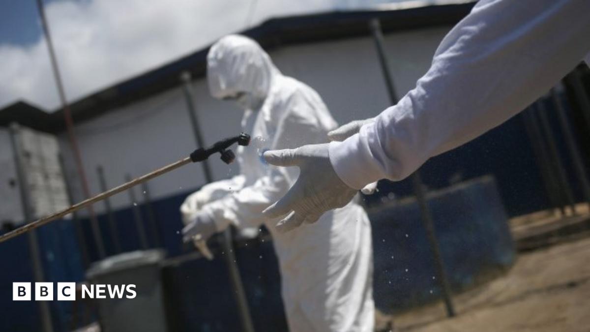 Ebola crisis: WHO accused of 'failure' in early response - BBC News