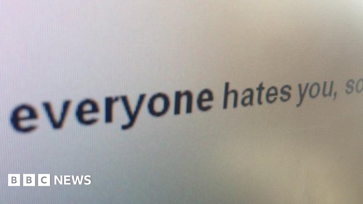 Victim says planned 'troll law' is better late than never - BBC News