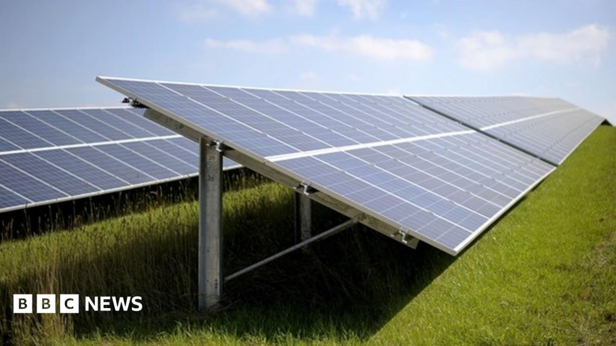 Solar panel farm planned for Ashington Community Woodland - BBC News