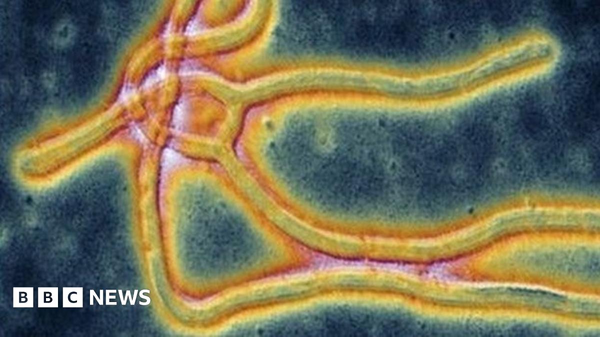 Ebola teaching material sent to UK schools - BBC News