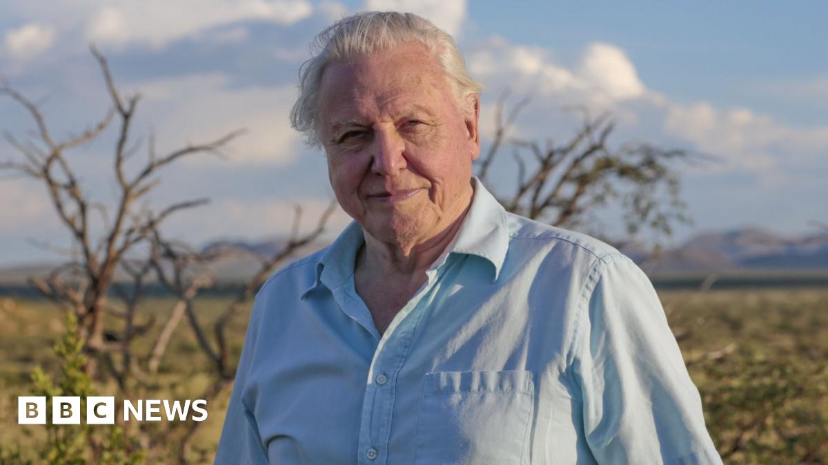 The photos of Sir David Attenborough's own life story - BBC News