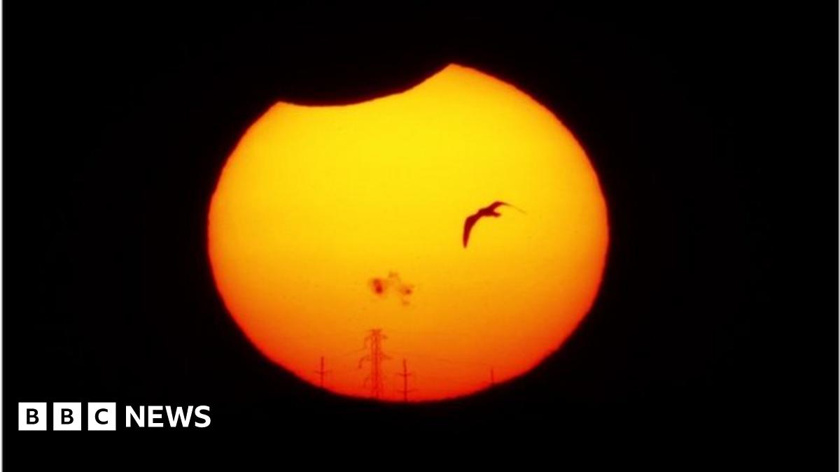 North America experiences partial eclipse - BBC News