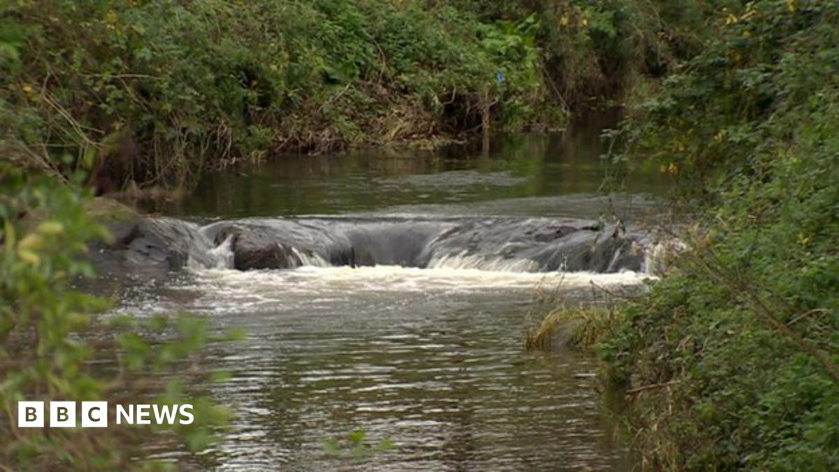 Environment agency: River Enler pollution fines are 'significant' - BBC ...