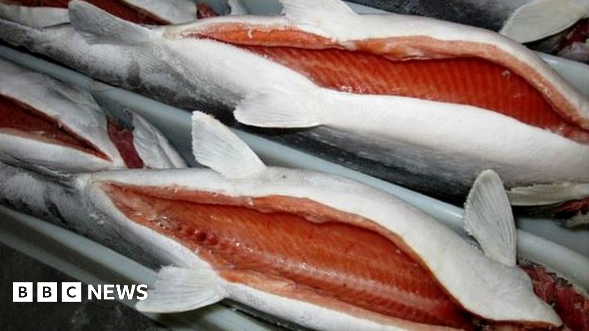 Trout farming in land-locked Lesotho is an export success - BBC News