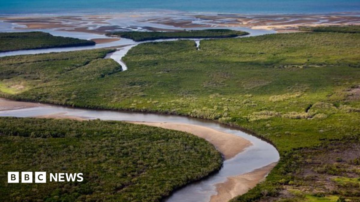 Abbot Point spoil dumping plan will not get impact study - BBC News