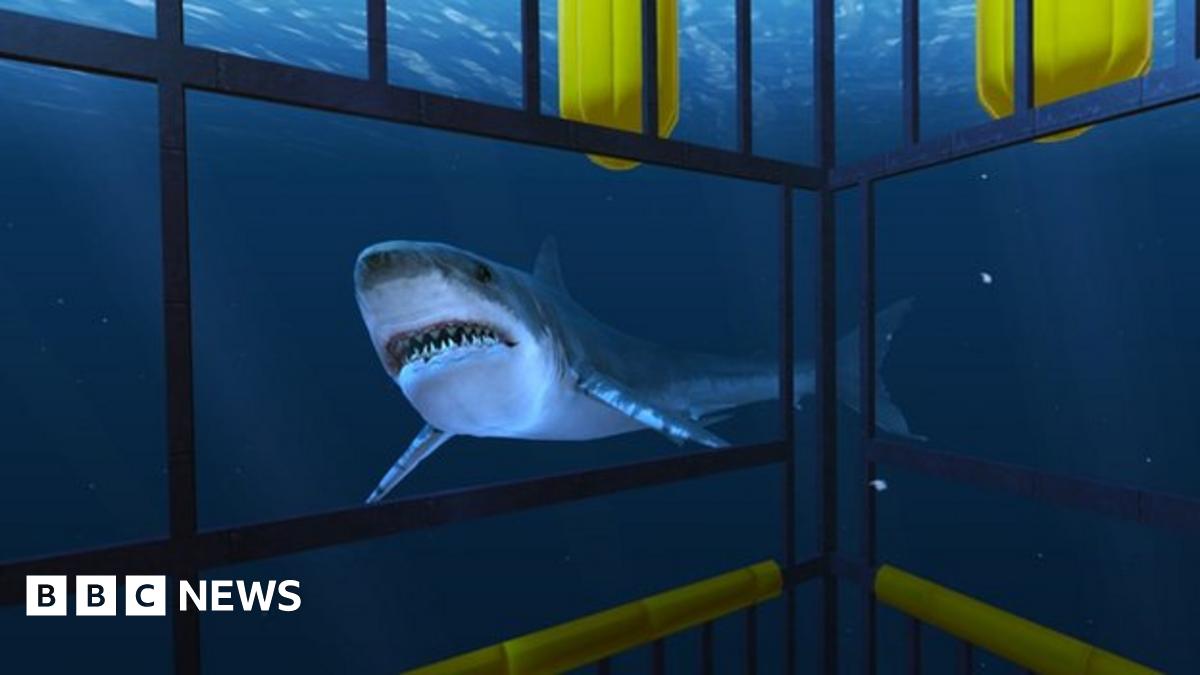 Bangor Uni graphics expert writes 3D deep ocean app - BBC News