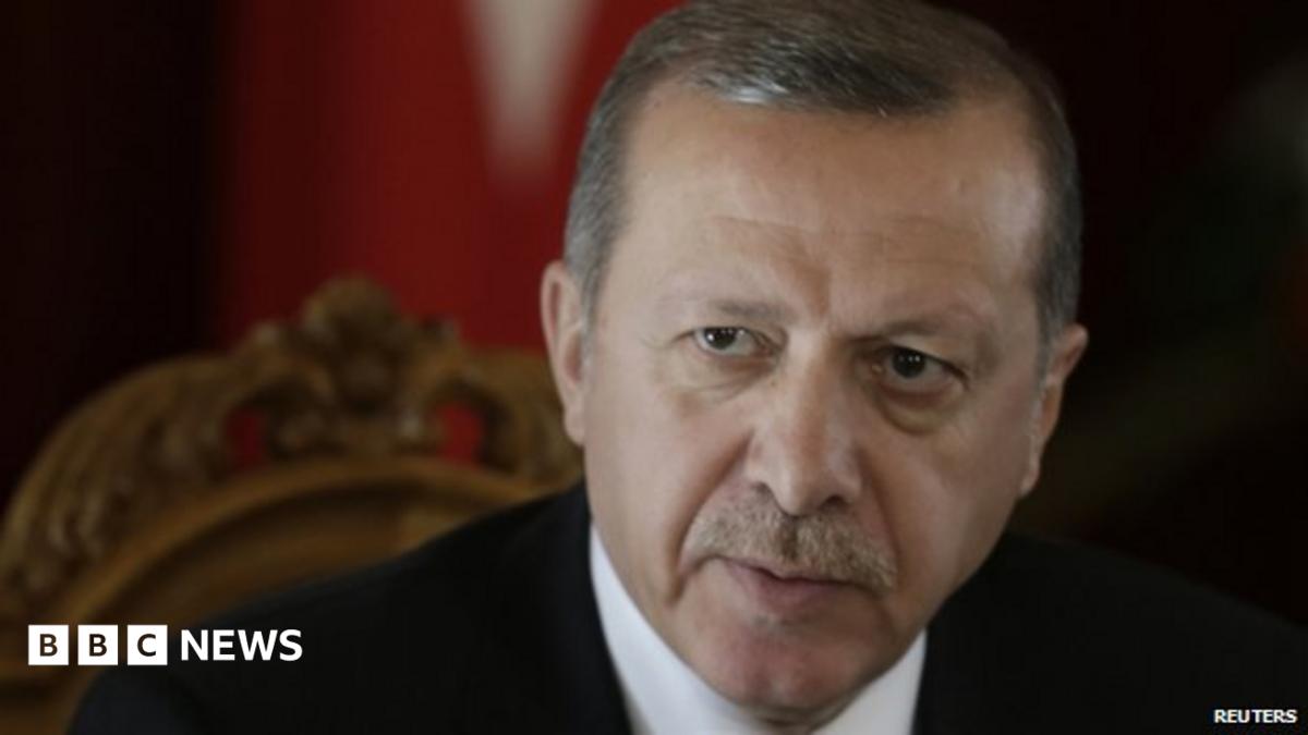 Turkish President Recep Tayyip Erdogan gets smoker fined - BBC News