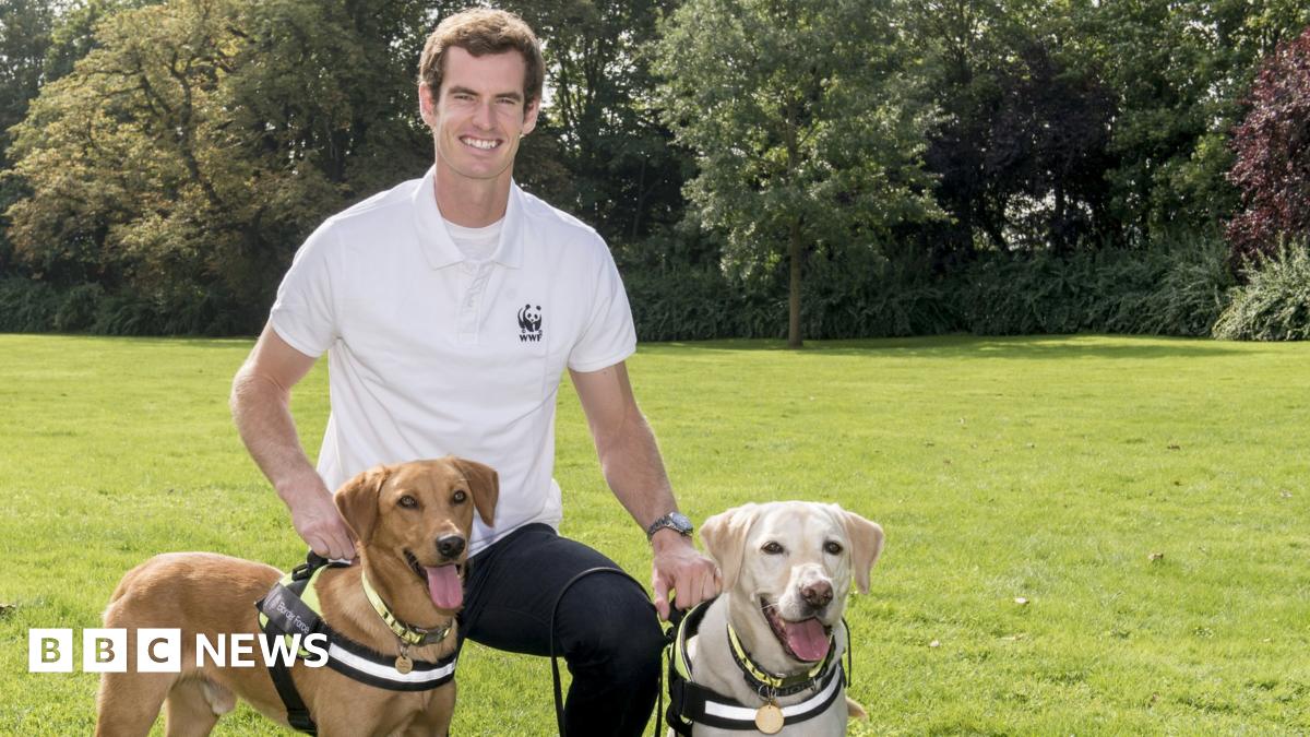 Andy Murray is teaming up with WWF to save tigers, rhinos and elephants ...