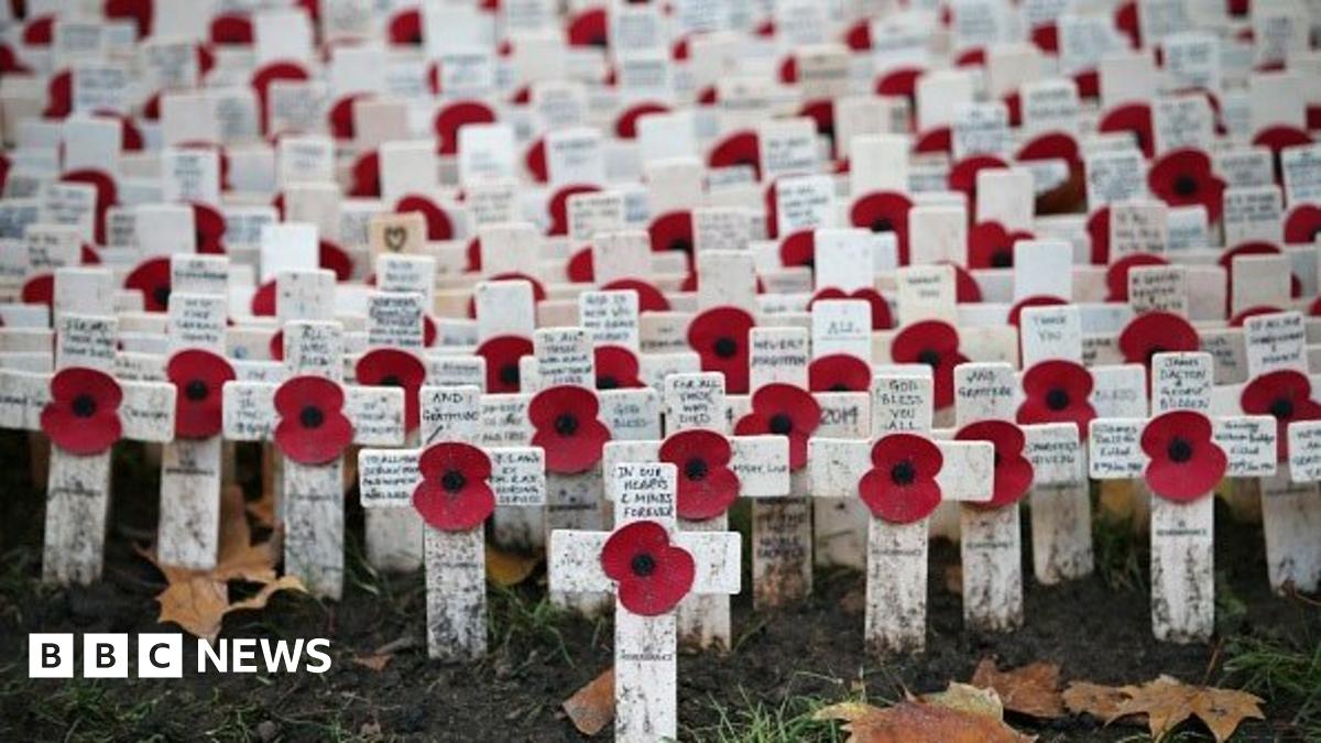 The Queen leads remembrance events in London - BBC News