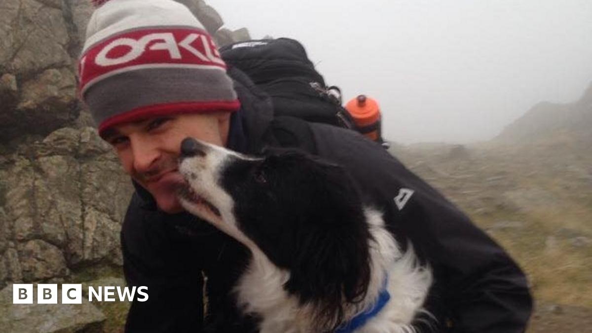 Jasper the dog found after social media campaign goes viral - BBC News