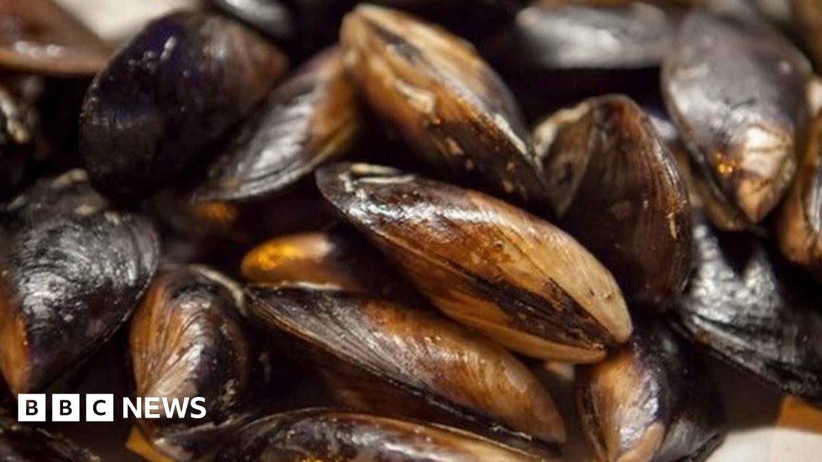 Morston mussel crop devastated by sand damage - BBC News