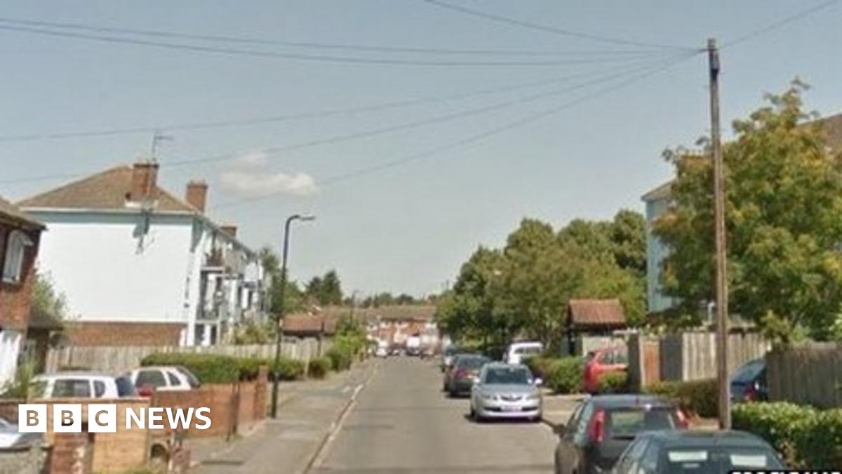 Arrest in stab and dog-bite attack on Britwell Estate, Slough - BBC News