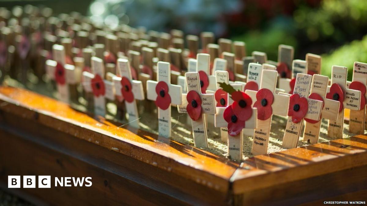 Your pictures: Remembrance Sunday - BBC News