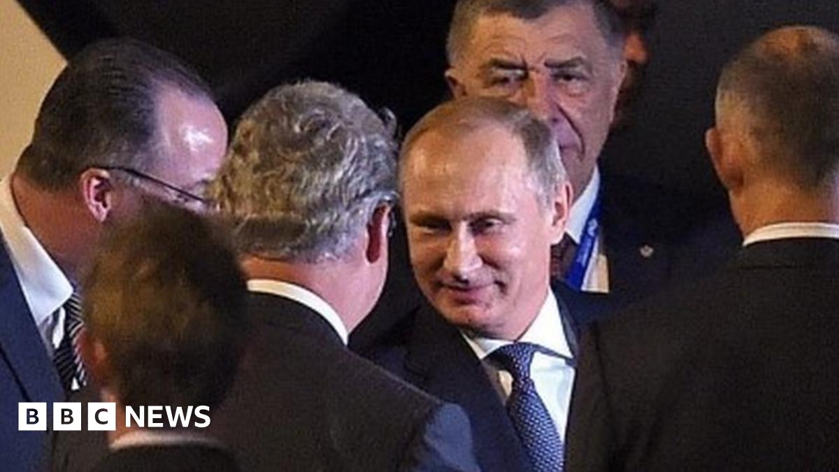 G20 summit: Russia sanctions 'undermine trade' - Putin - BBC News