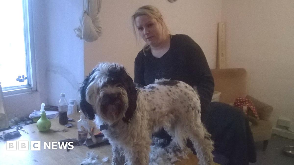 Devon foster children GCSE grades 'truly awful' - BBC News