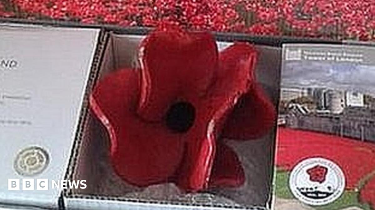 Tower poppy: How you plan to display your poppy - BBC News