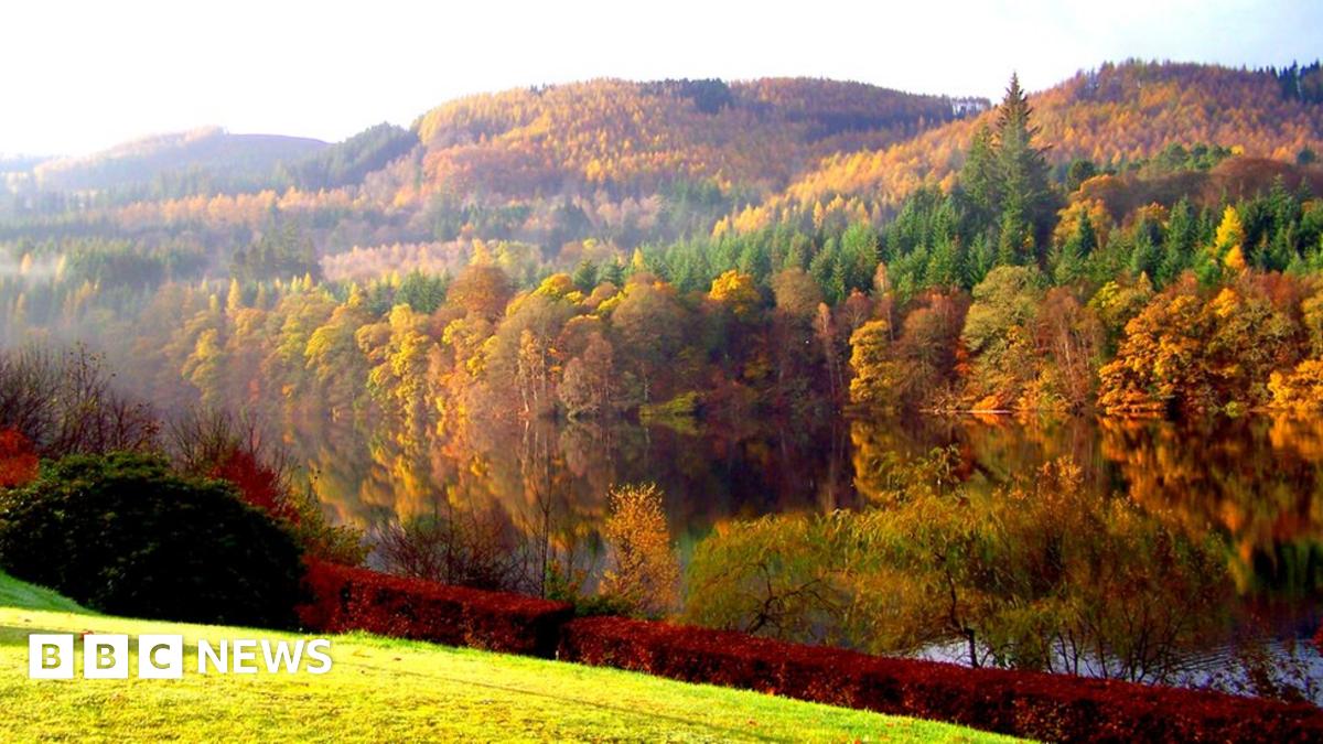 Your pictures of Scotland: 14 - 21 November - BBC News
