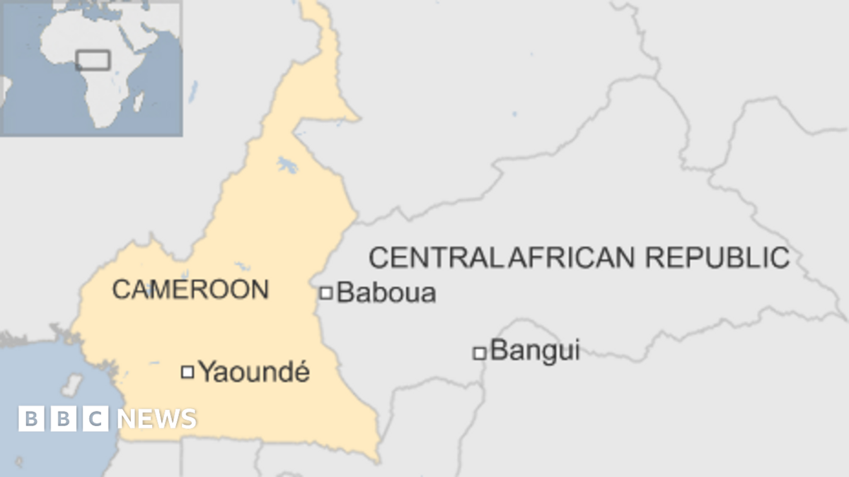 Cameroon rescues 16 hostages including a Polish priest - BBC News