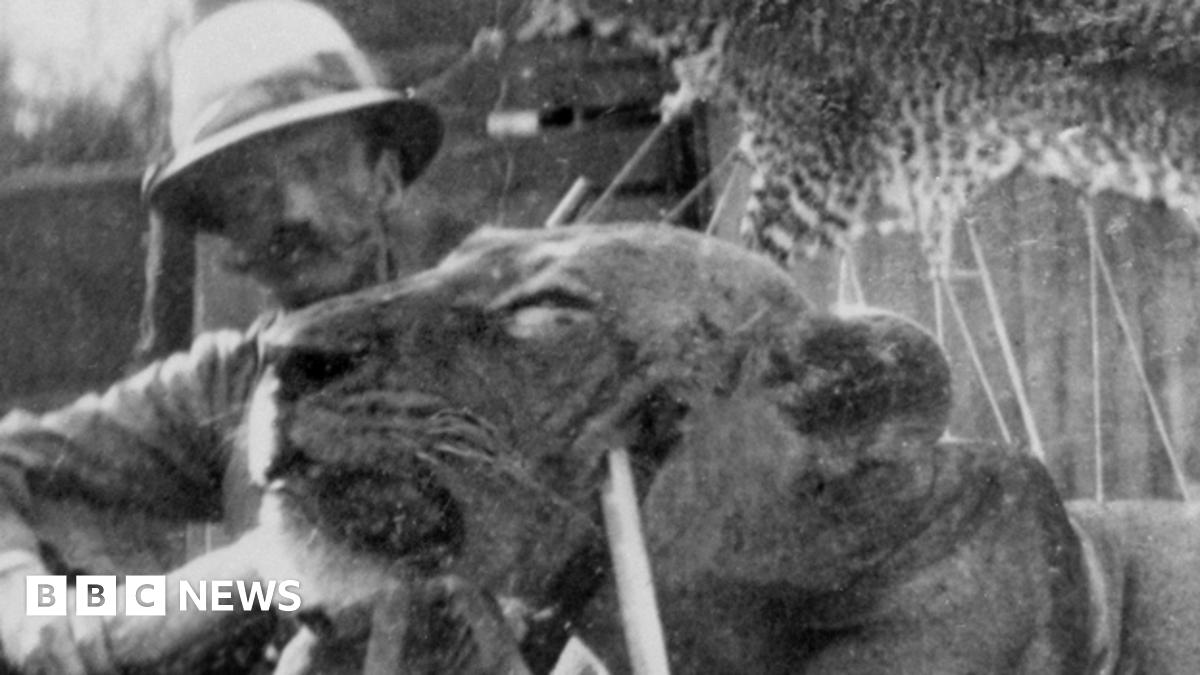 The lion-killer who became an Israeli hero - BBC News