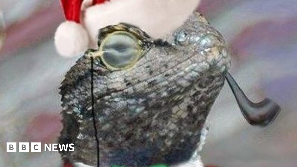 Who are Lizard Squad and what's next for the hackers? - BBC News