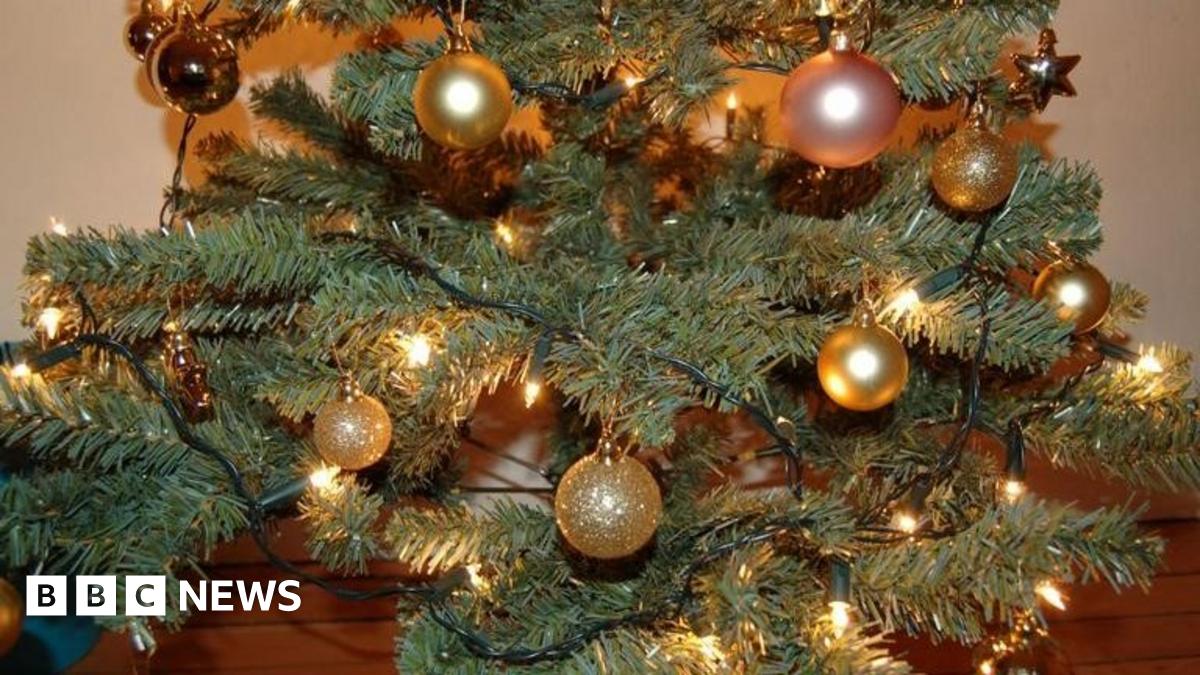 Christmas 'tree bank' in Cambridgeshire to 'spread cheer' - BBC News