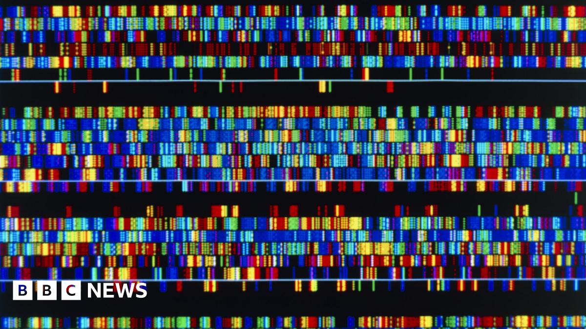 Genetic diversity of Sub-Saharan Africa revealed - BBC News