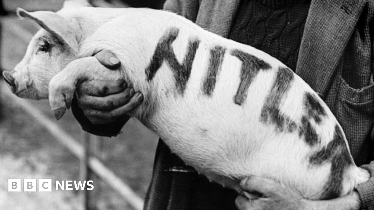 What do dictators like to eat? - BBC News