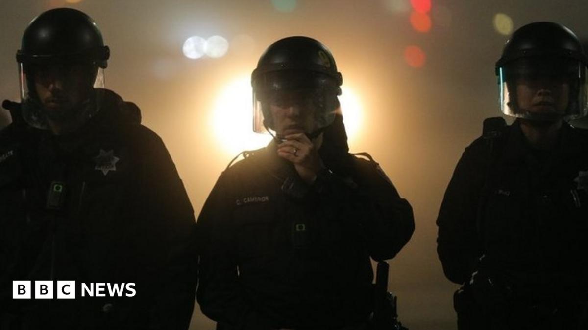 Eric Garner death: Will US politicians get a prosecution? - BBC News